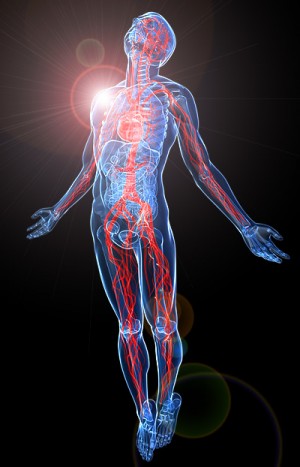 WIE IS GOD? Ontdek het hier...